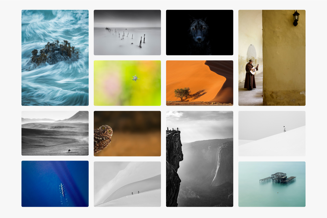 Focus: Understanding the 7 formal elements of photography